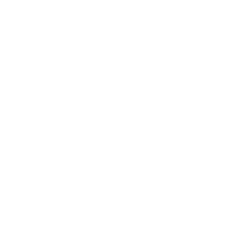 The Planet's Leading Decarbonization Platform - SINAI